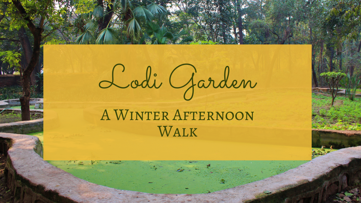 LODI GARDEN – Let's Go Sightseeing!